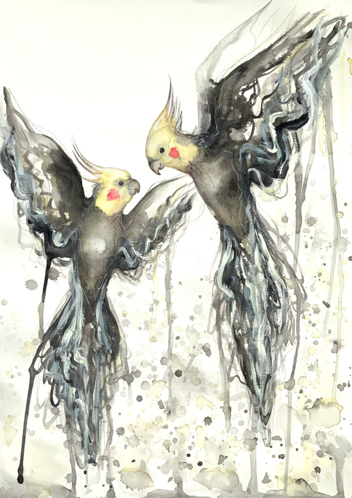 Cockatiels (Meeting of the Cockatiels, In Flight) - 42 x 59.4cm, A2 ...