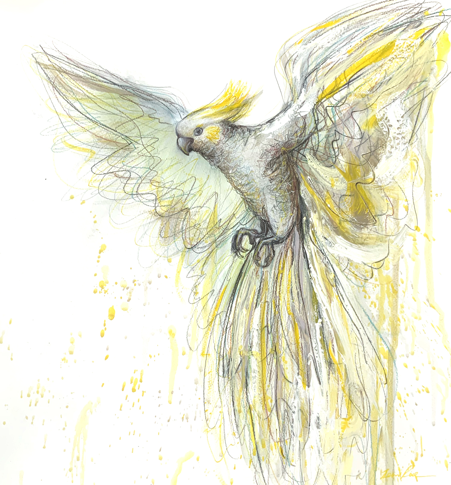 Cockatoo Sunshines Dance (42x43cm, Australian Bird Painting on Paper ...